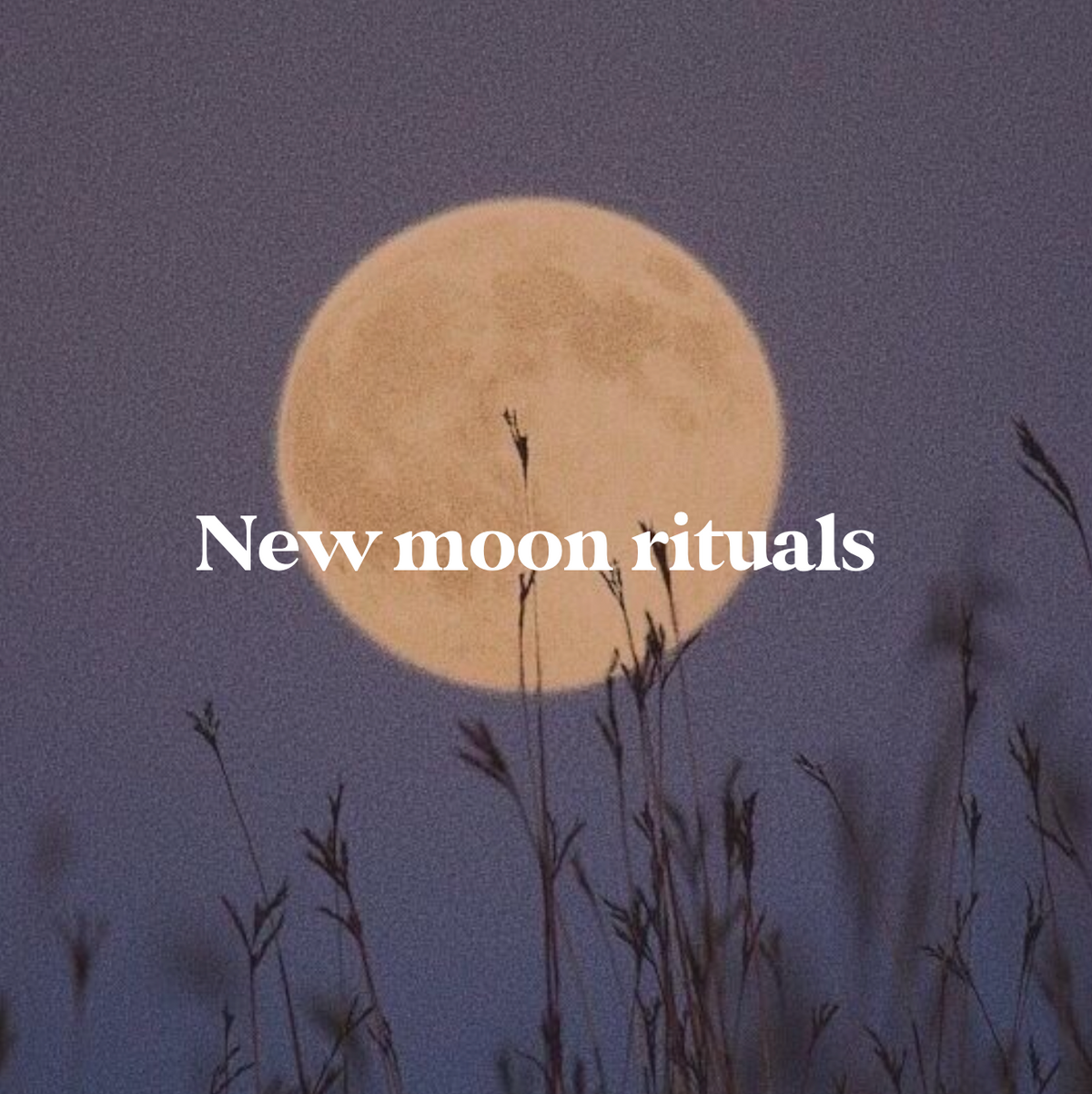 New Moon Rituals – Rise and Conquer